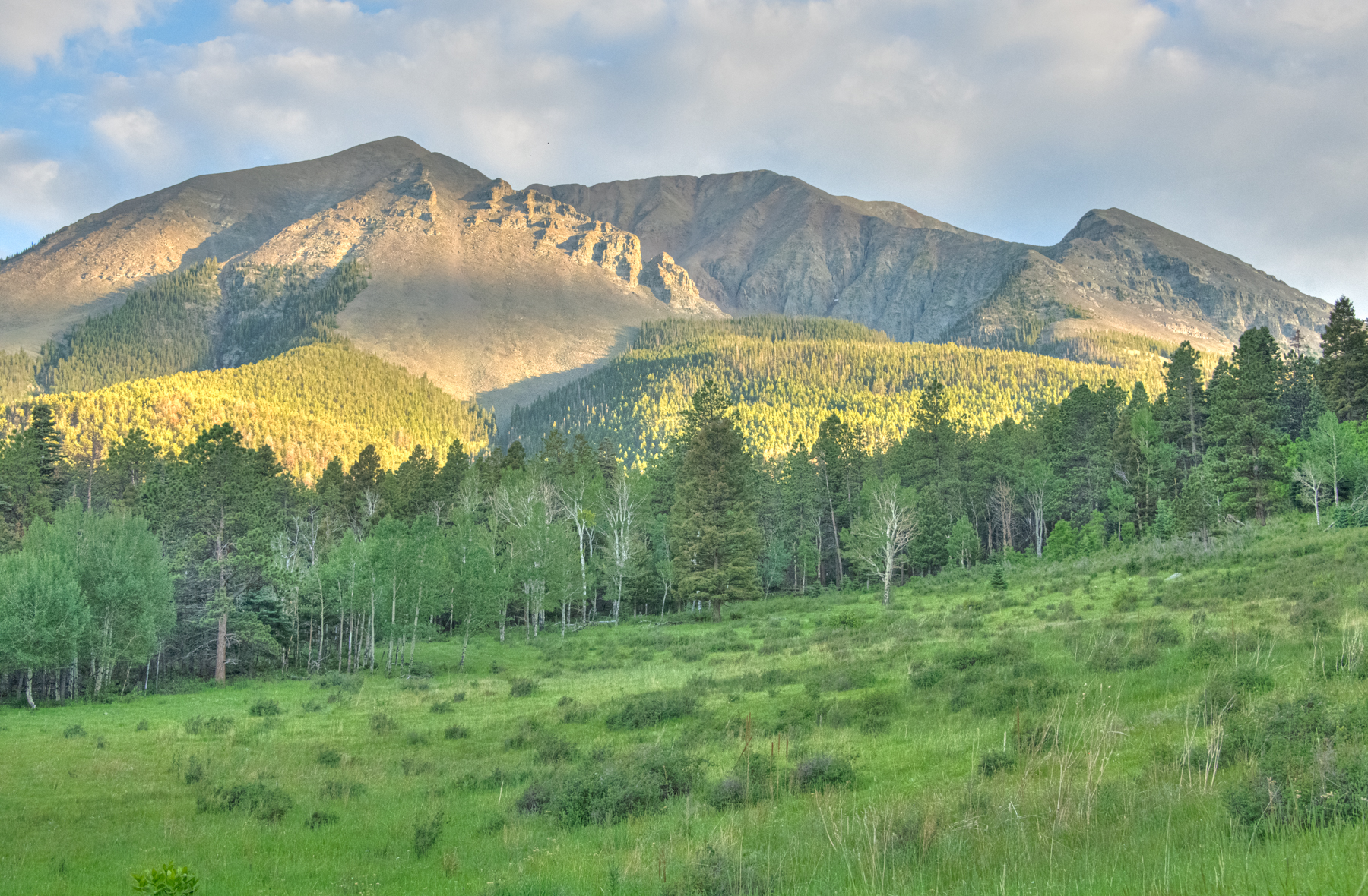 West Peak Ranch - TBD CR 360, La Veta - Bachman & Associates - Bachman ...