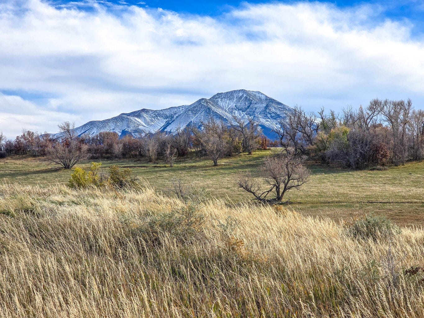 TBD Grandote Golf & Country Club 54, La Veta - Bachman & Associates ...