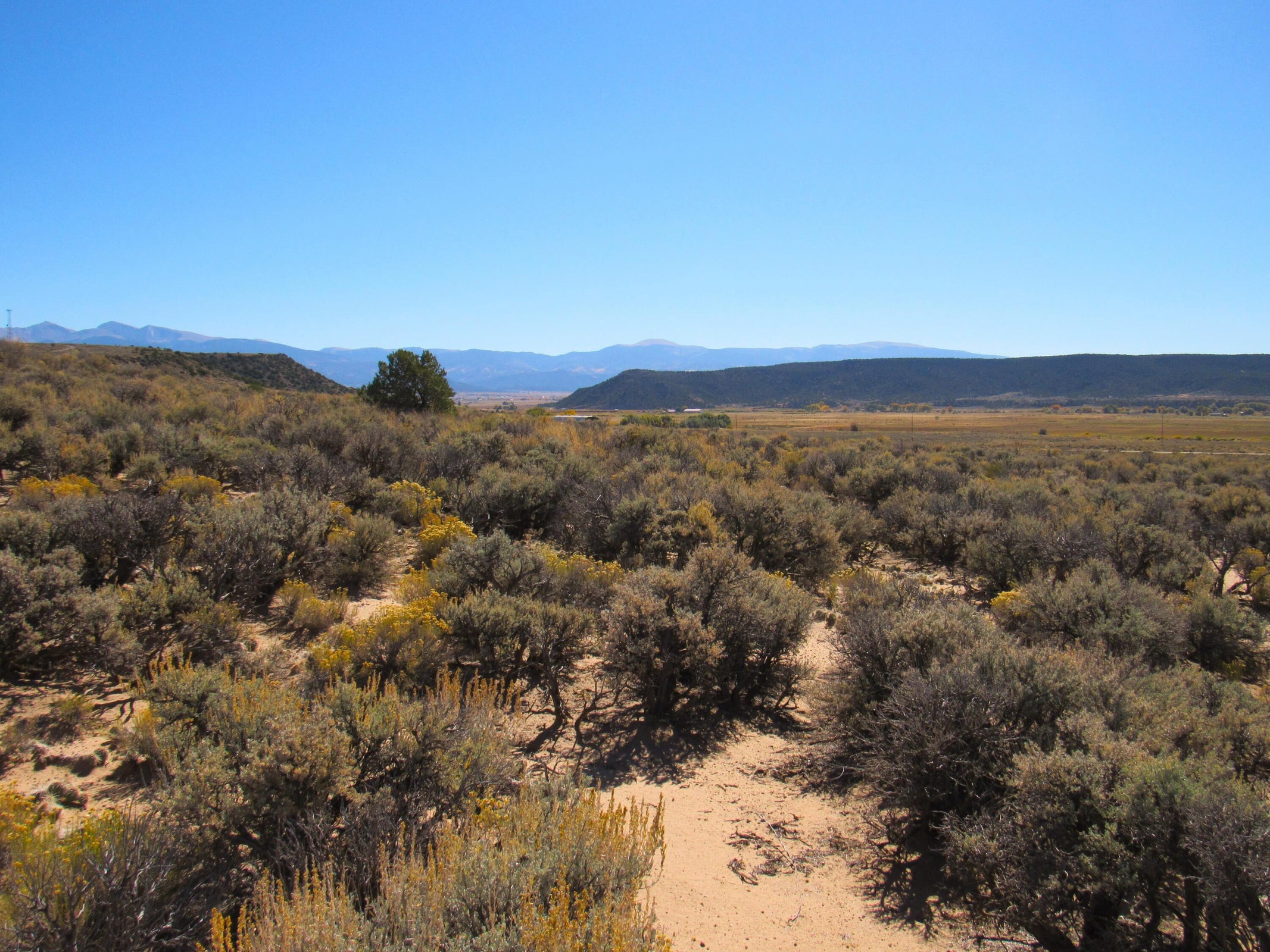 W Unicorn Road Lot 11, San Luis - Bachman & Associates - Bachman ...
